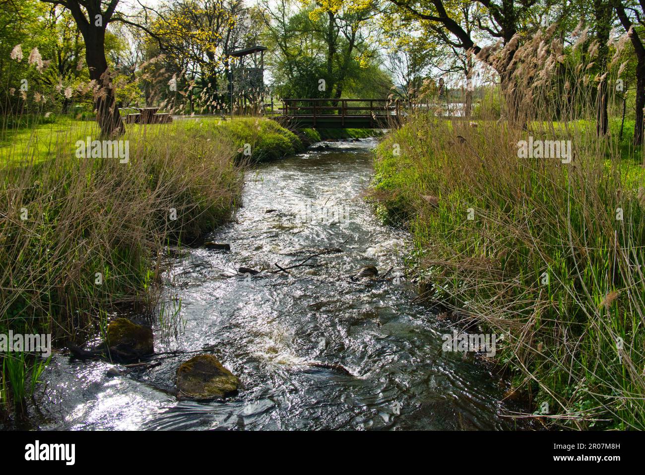 Small stream near Meppen in Emsland (Borkener Paradise Stock Photo - Alamy