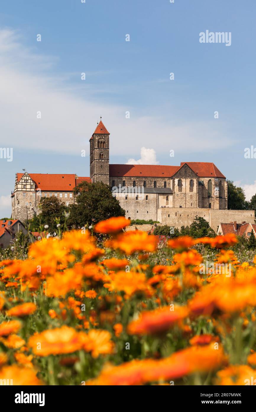 View of Quedlinburg Castle and Collegiate Church Stock Photo - Alamy