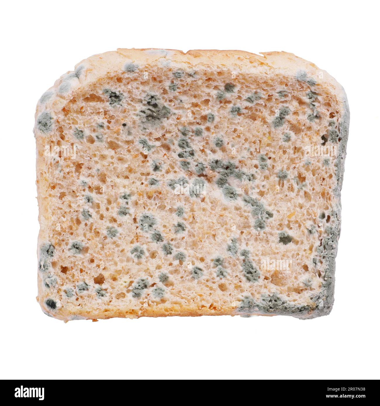 moldy toast bread isolated on white Stock Photo - Alamy