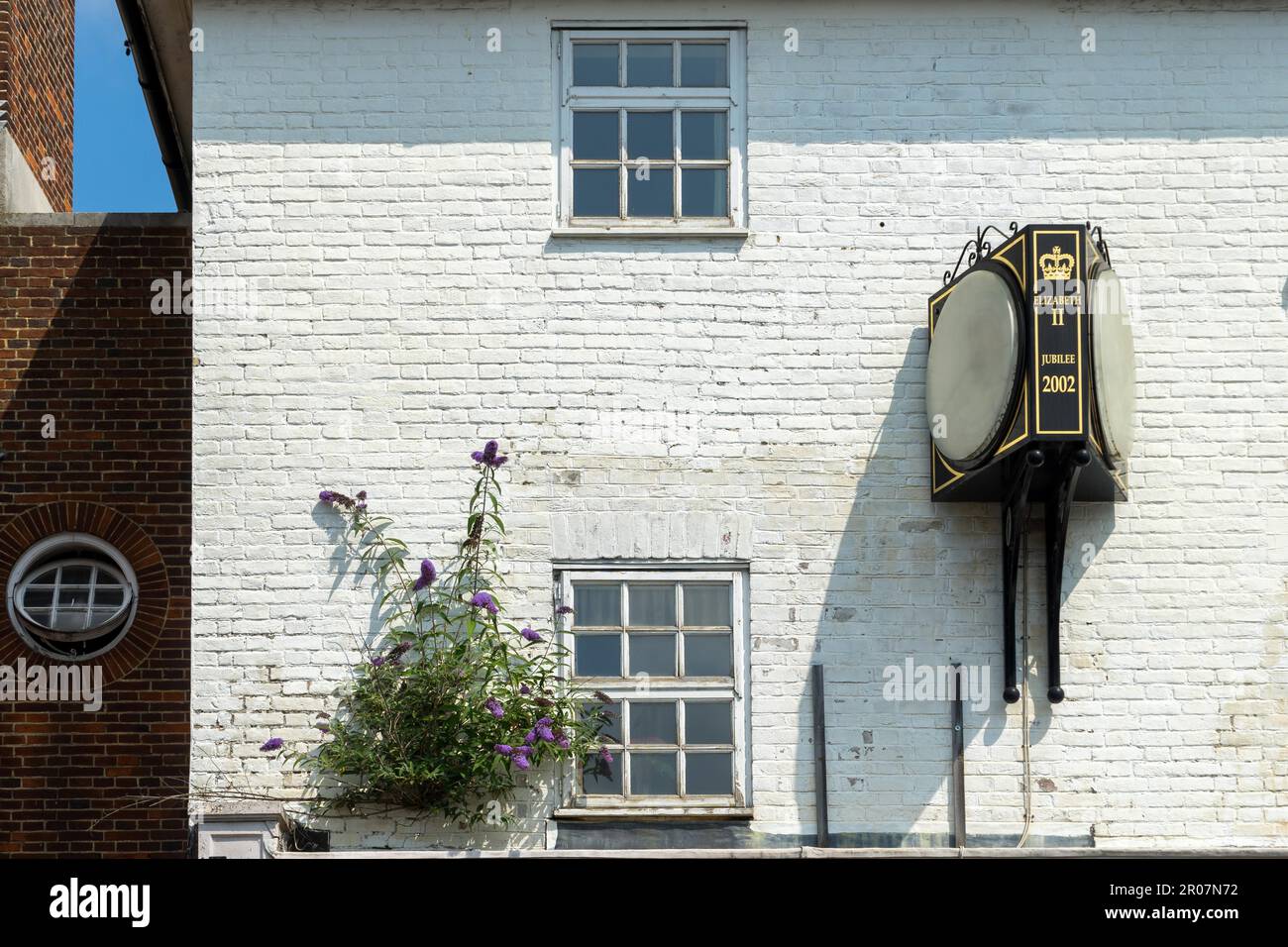 (Buddleia) growing out of a wall in East Grinstead Stock Photo - Alamy