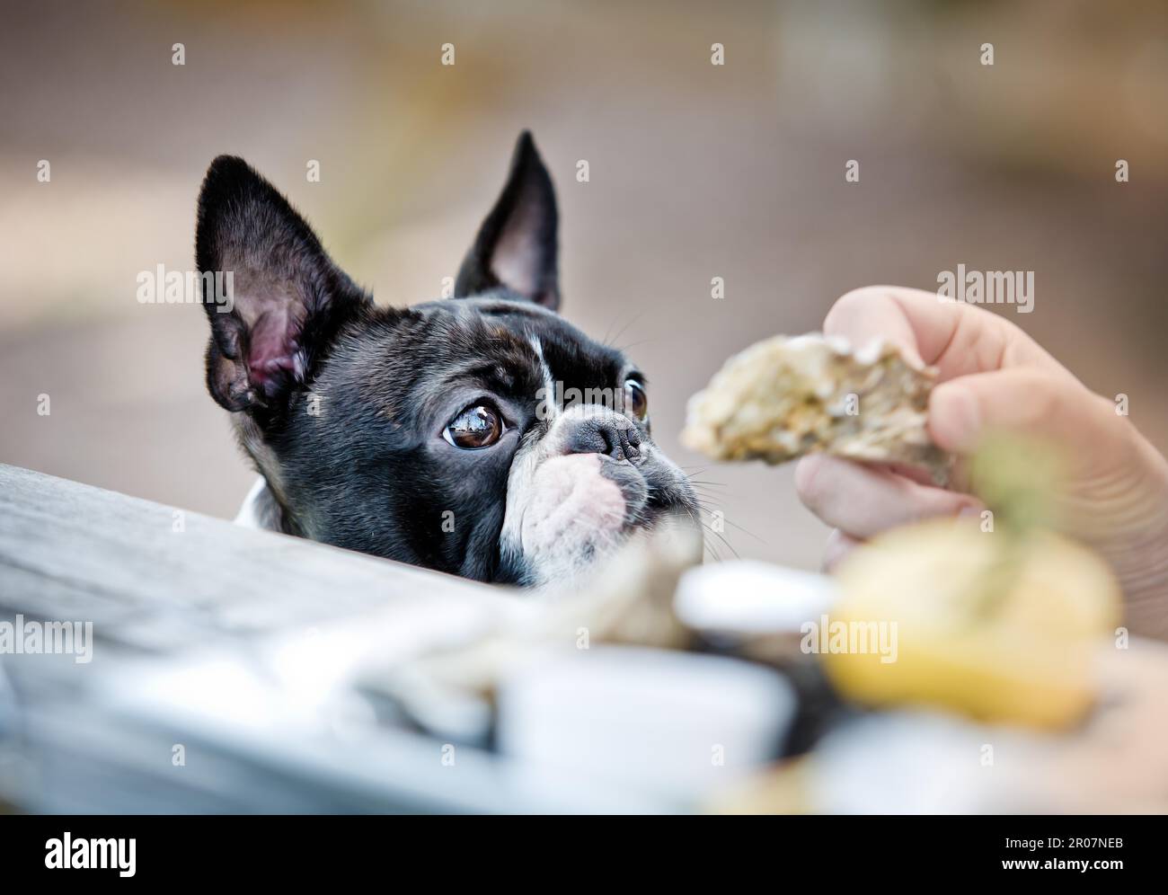 Master hope hi-res stock photography and images - Alamy