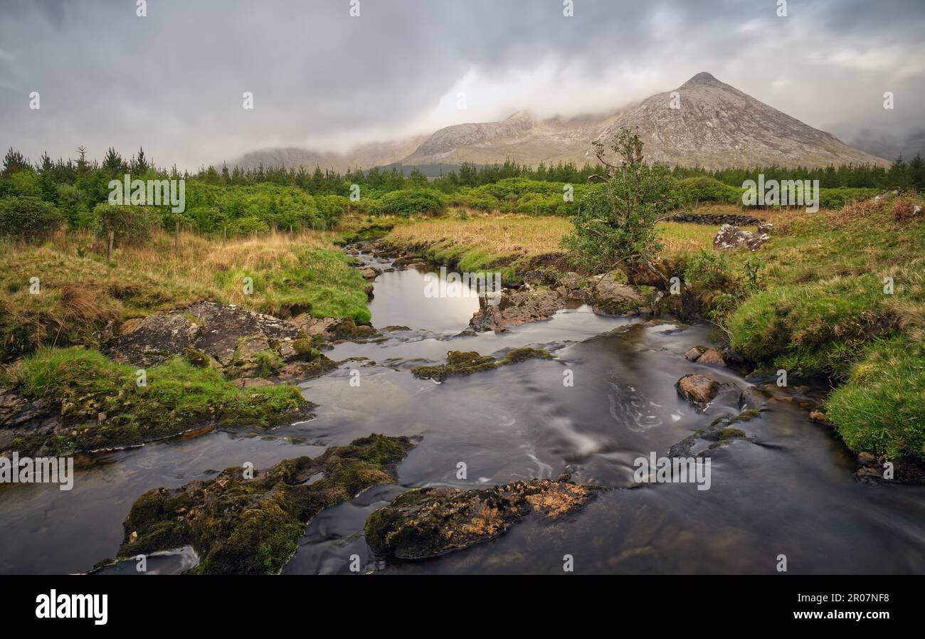 Beautiful dramatic landscape scenery with river stream, forest and ...
