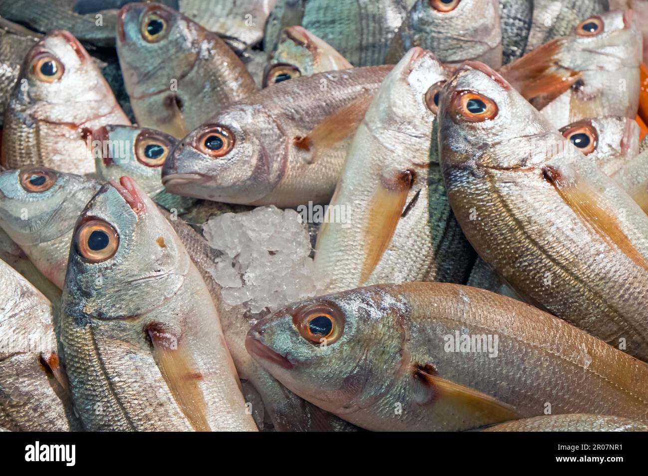 Fresh fish for sale at the market Stock Photo - Alamy