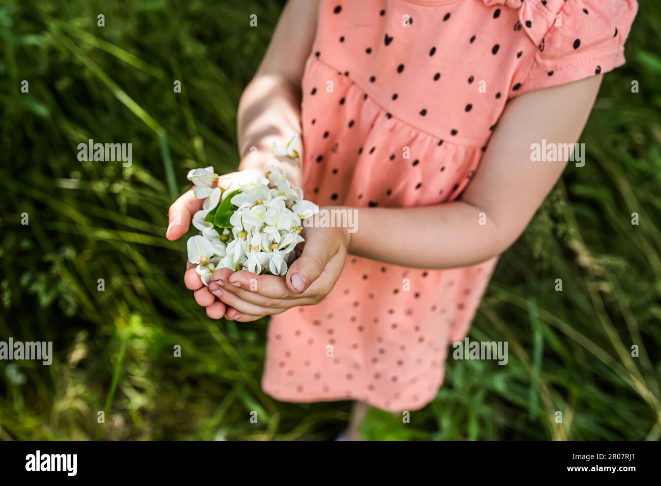 Handfuls of flowers hi-res stock photography and images - Alamy