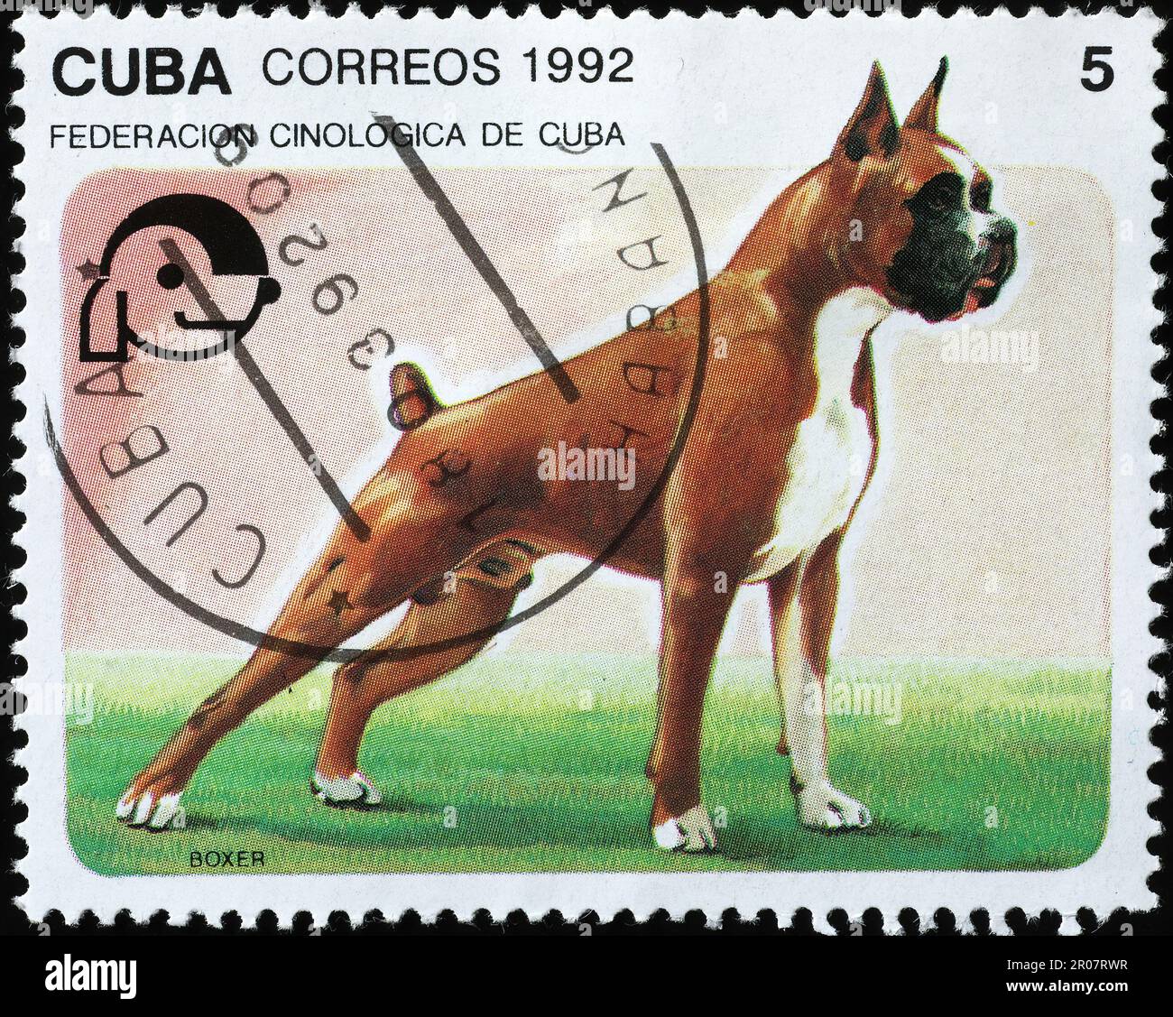 Dog Boxer on cuban stamp Stock Photo - Alamy
