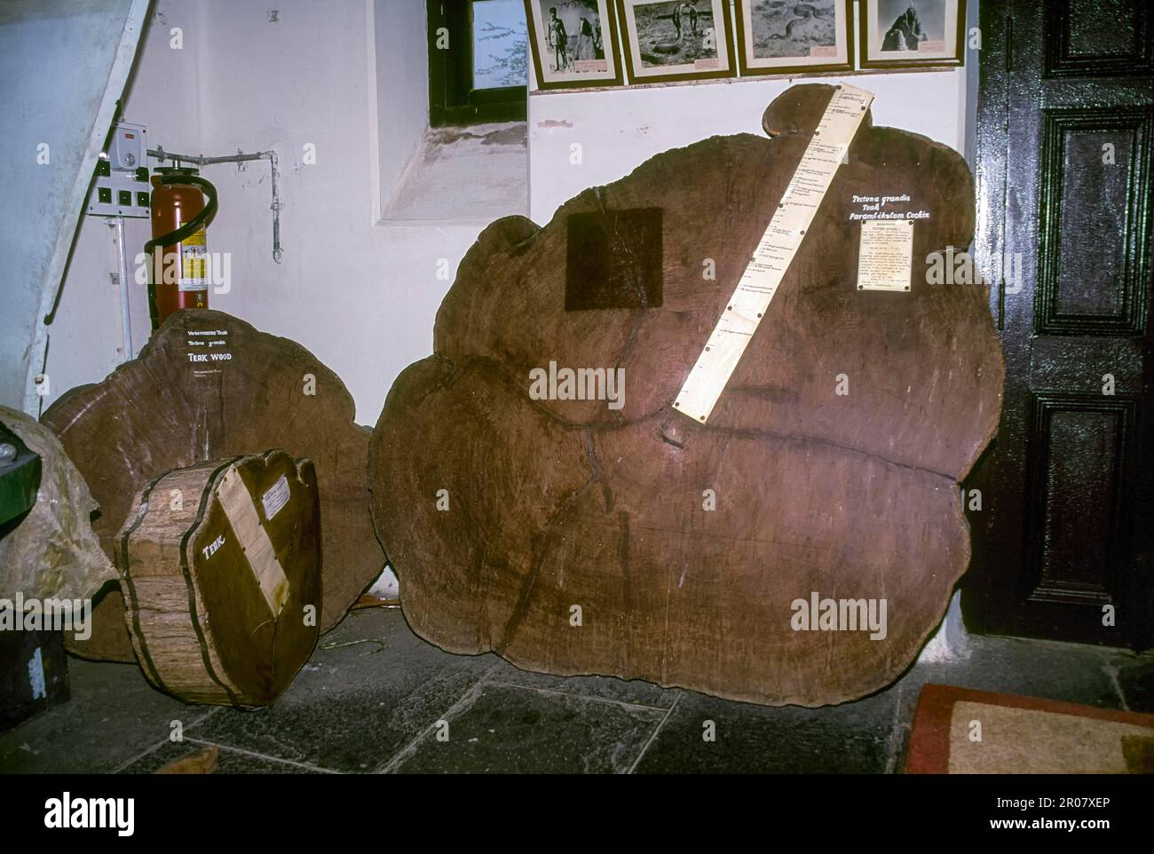 Coimbatore museum hi-res stock photography and images - Alamy