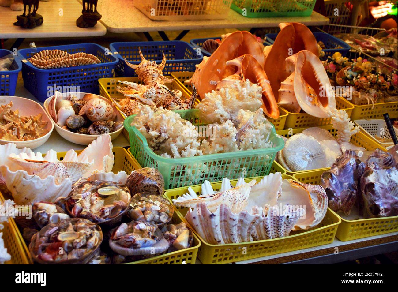 Mussel shells for sale Stock Photo - Alamy