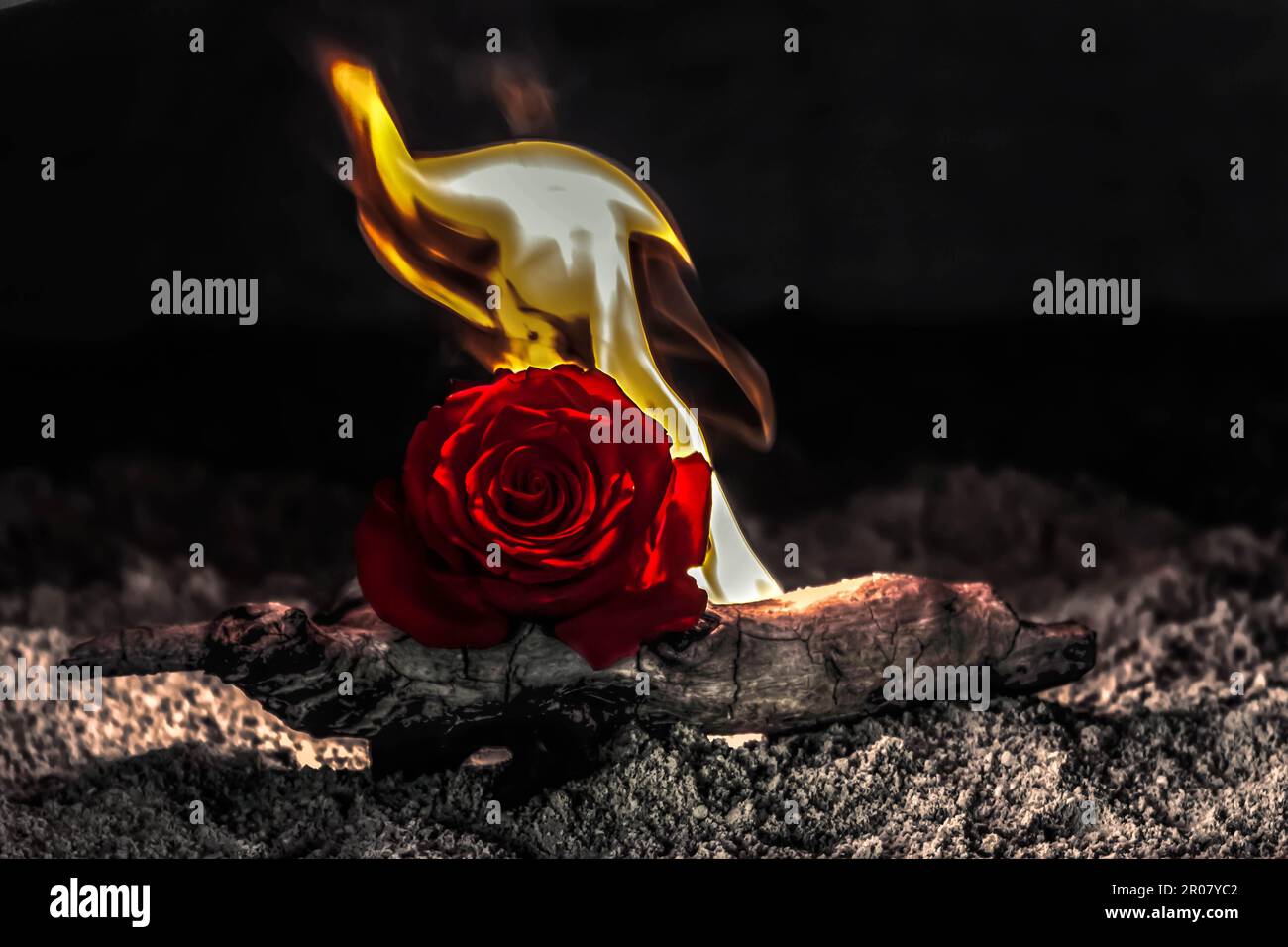 Long exposure shots of fire and a red rose Stock Photo - Alamy