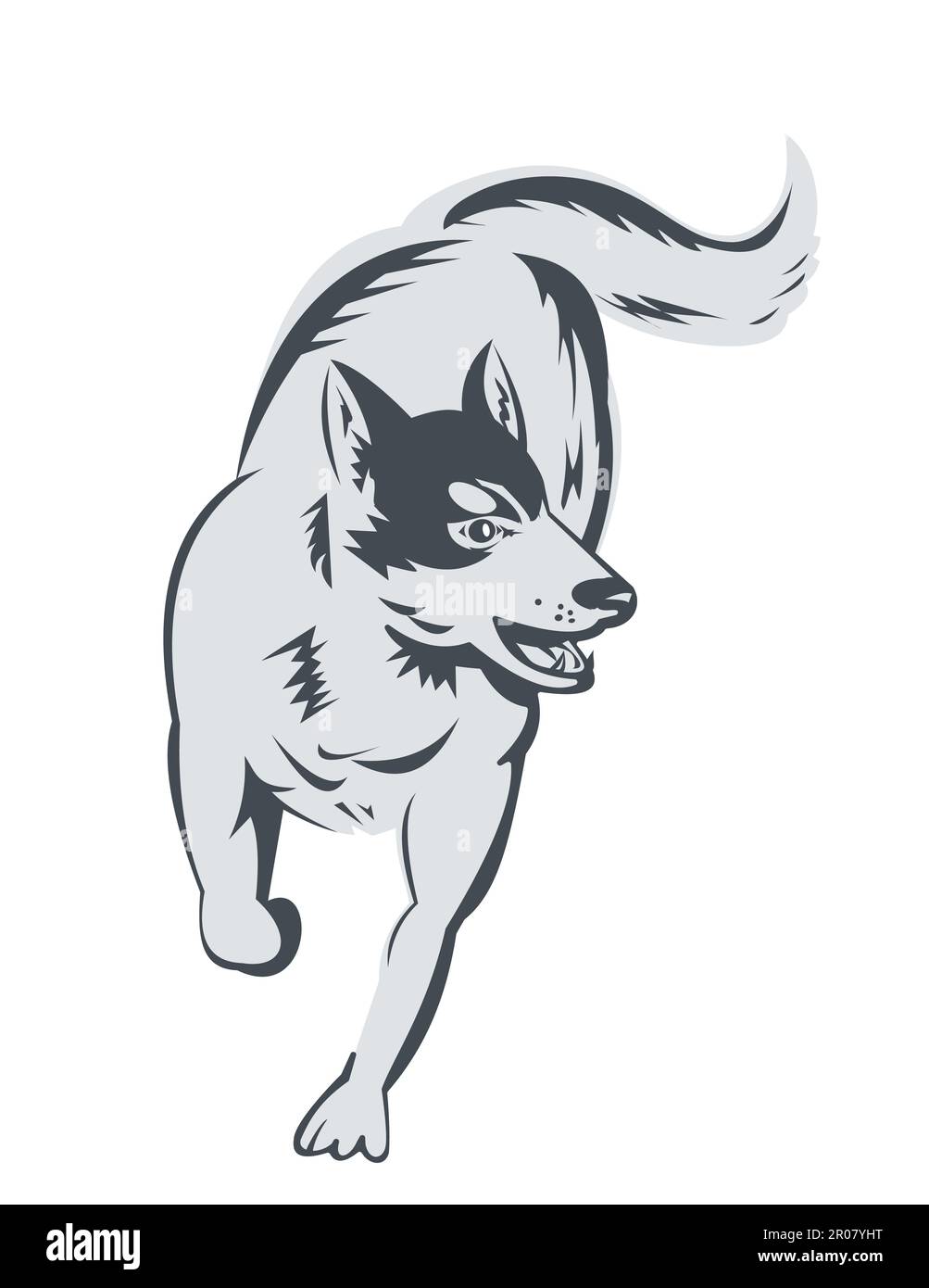 Retro woodcut style illustration of a Siberian Husky running viewed ...