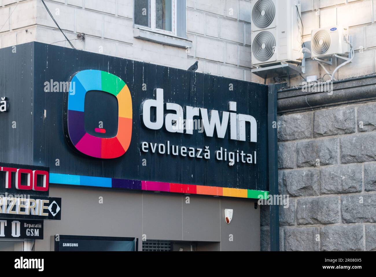 Chisinau, Moldova - March 10, 2023: Logo of Darwin store Stock Photo ...