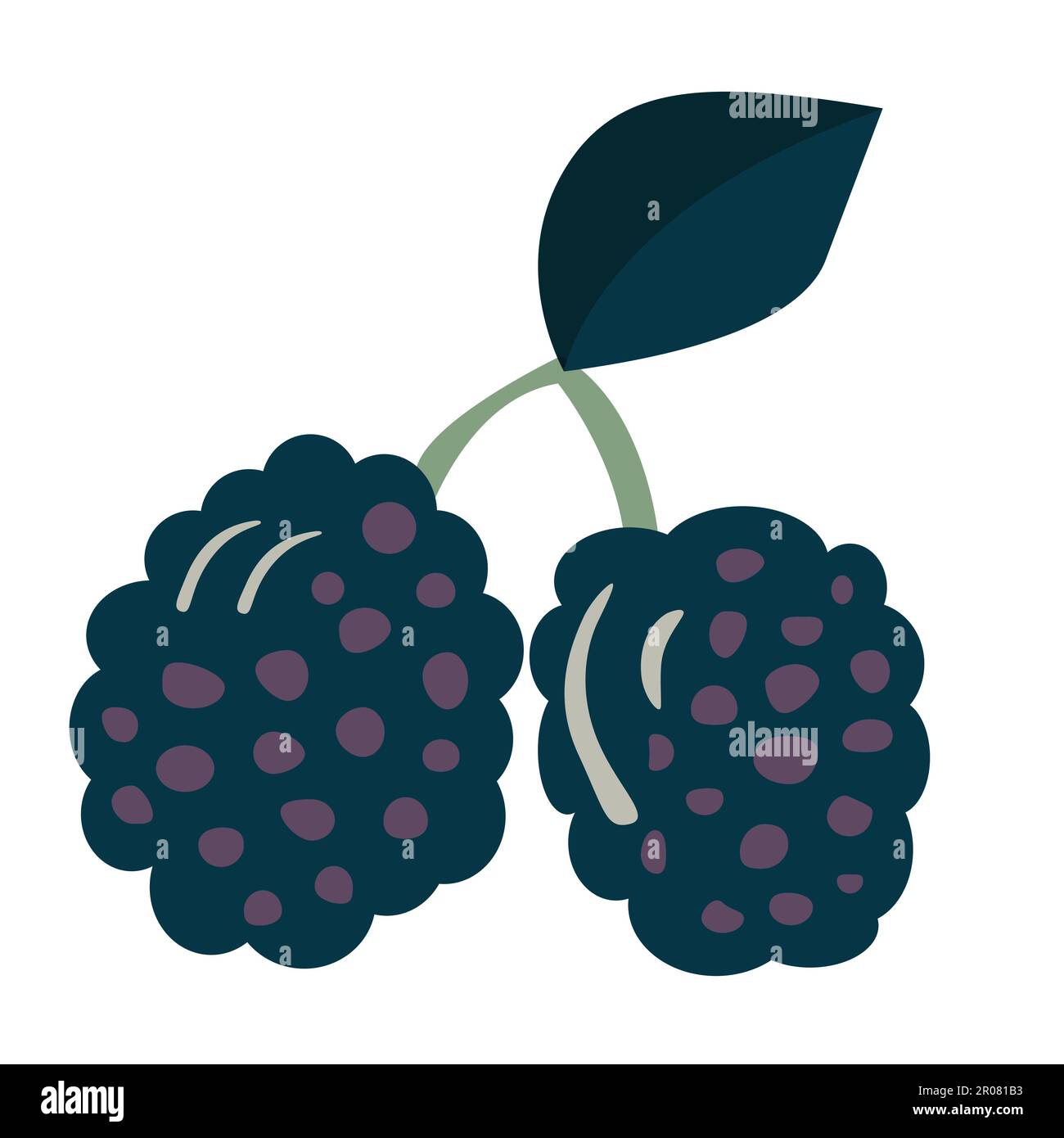 Simple doodle blueberry. Vector Illustration EPS10 Stock Vector Image ...