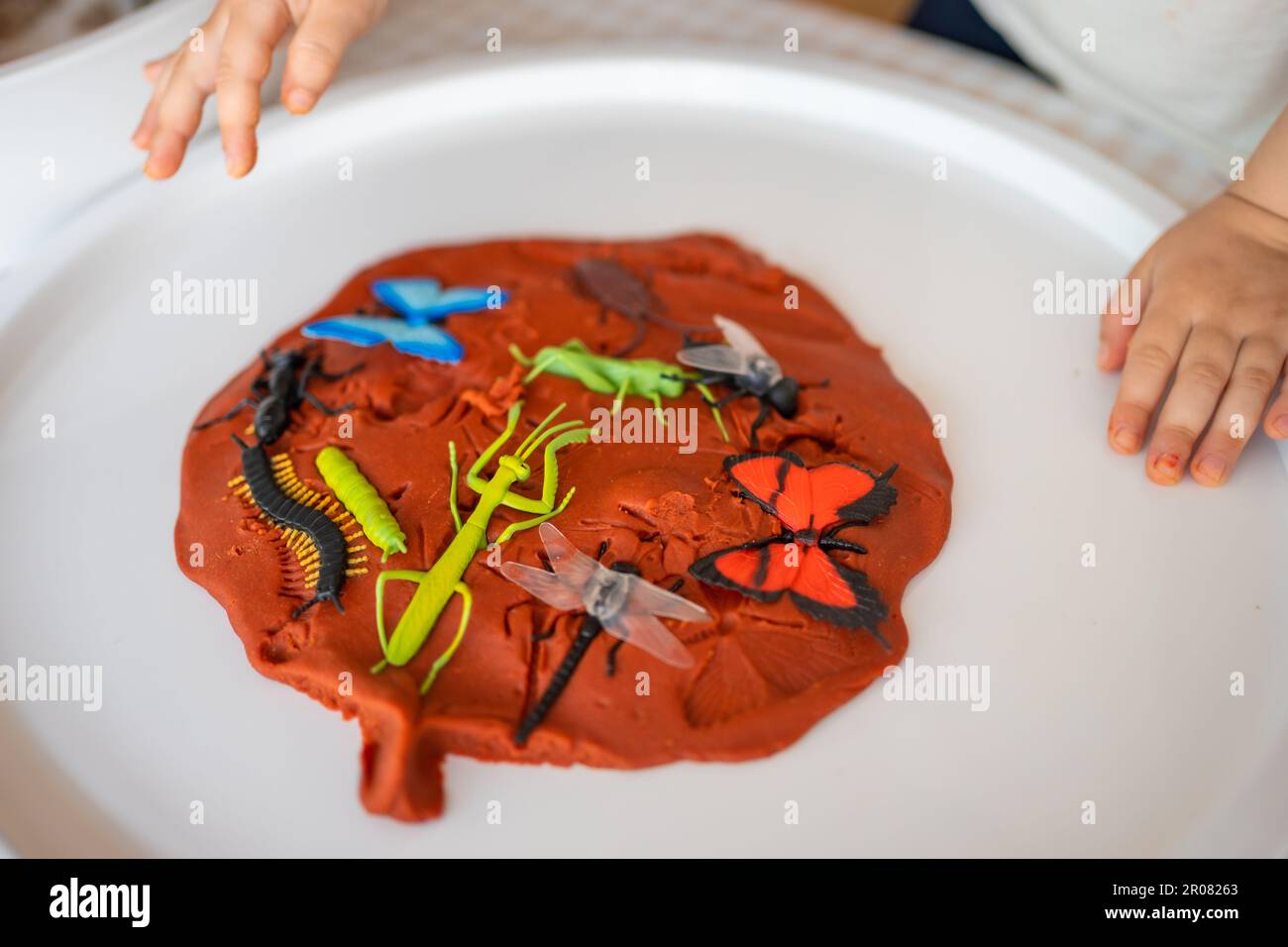 Plasticine and toys insects for playing. Sensory development and ...