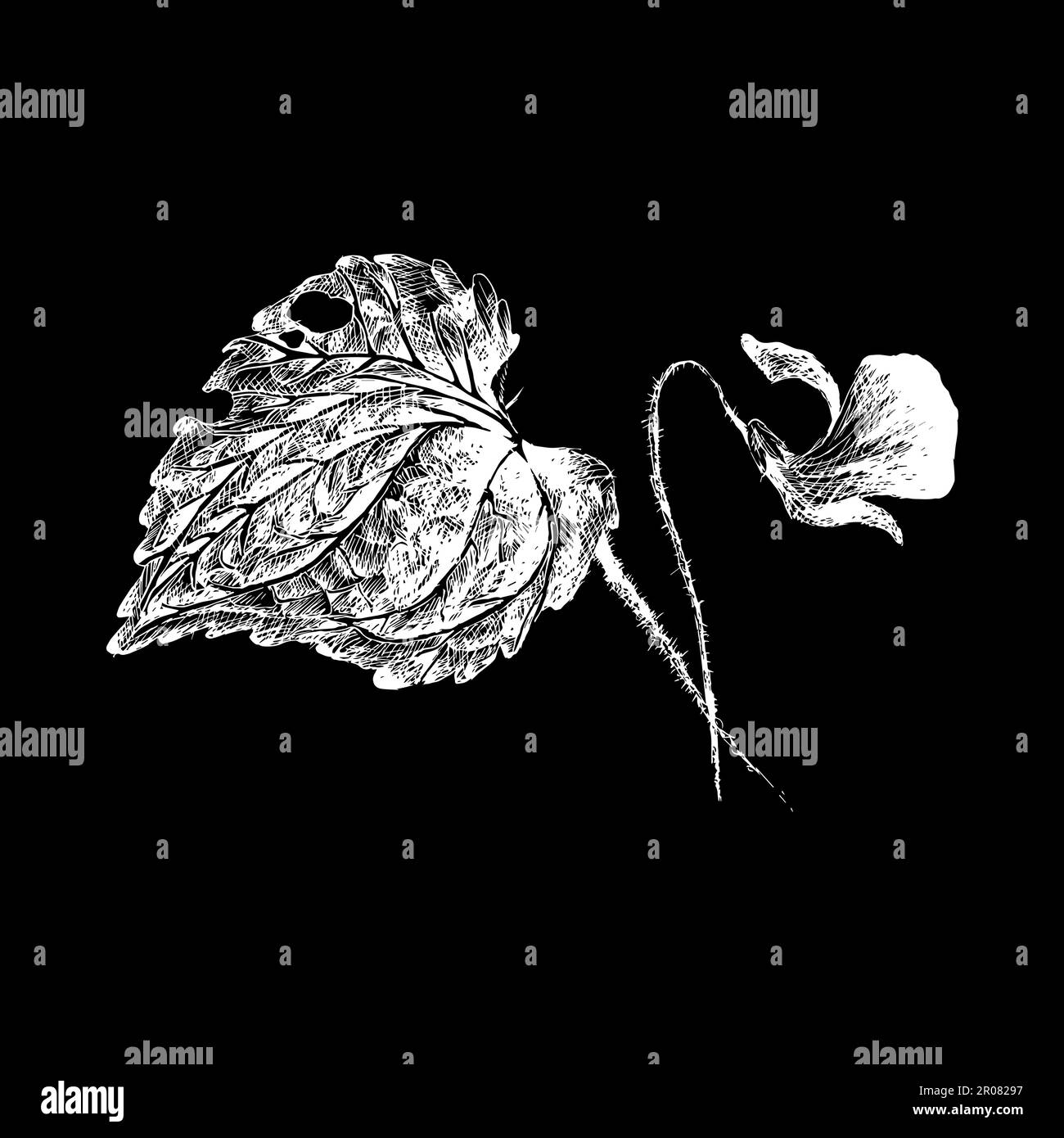Vector flower violet by hatching in eps, flower sketch by pen Stock ...