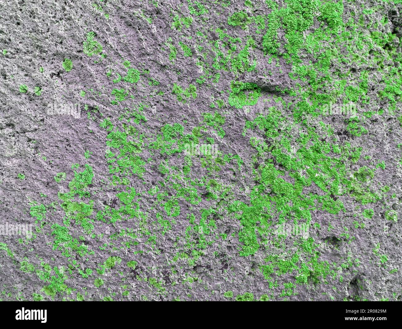 Seamless basalt texture with damage and dirt Stock Photo - Alamy