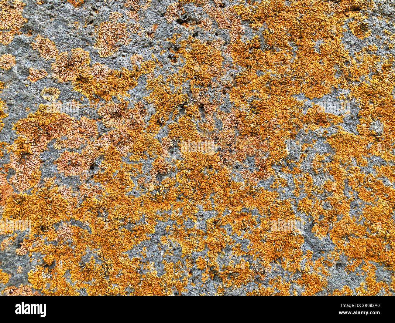 Dirt texture seamless hi-res stock photography and images - Alamy