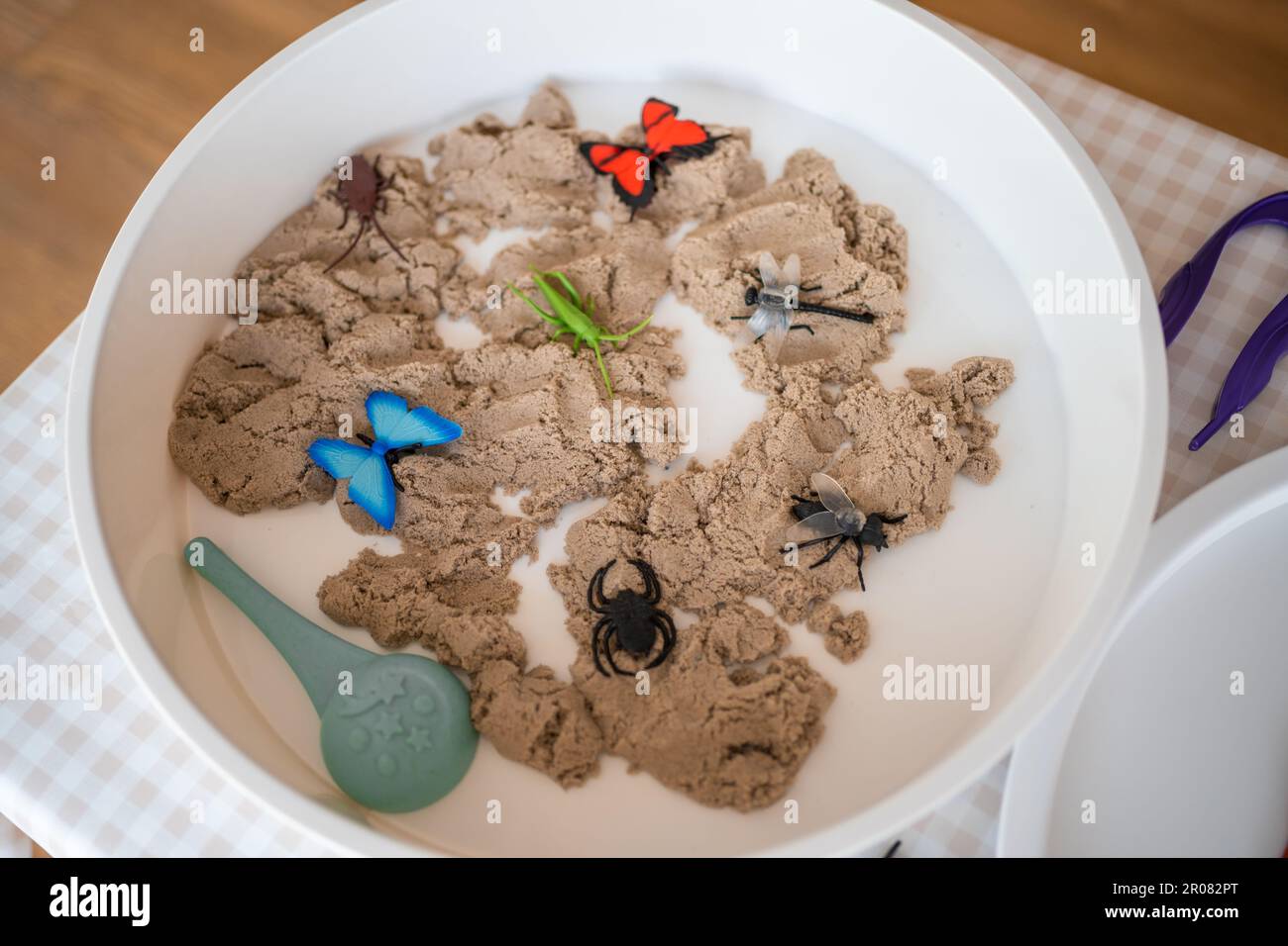 Kinetic sand and toys insect. Sensory development and experiences ...