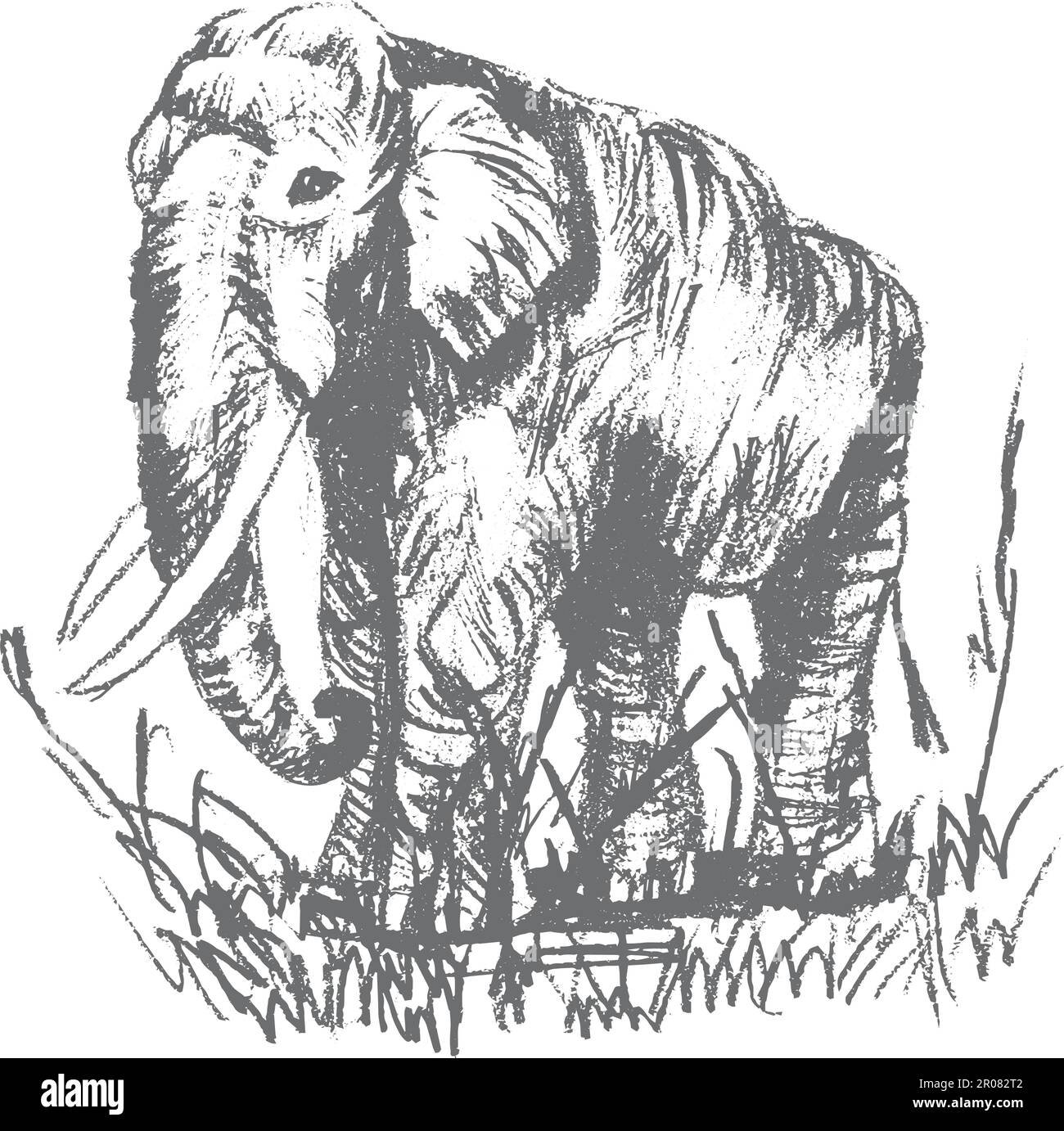 Elephant etching antique hi-res stock photography and images - Alamy