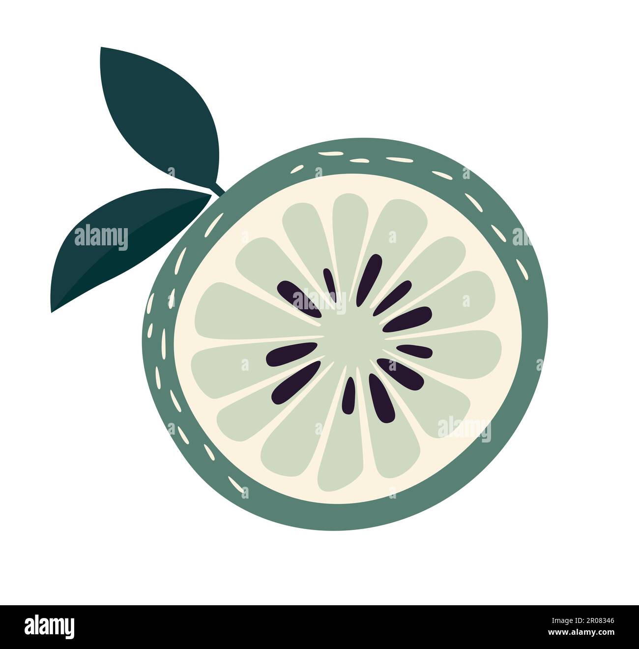 Simple lime drawing hi-res stock photography and images - Alamy