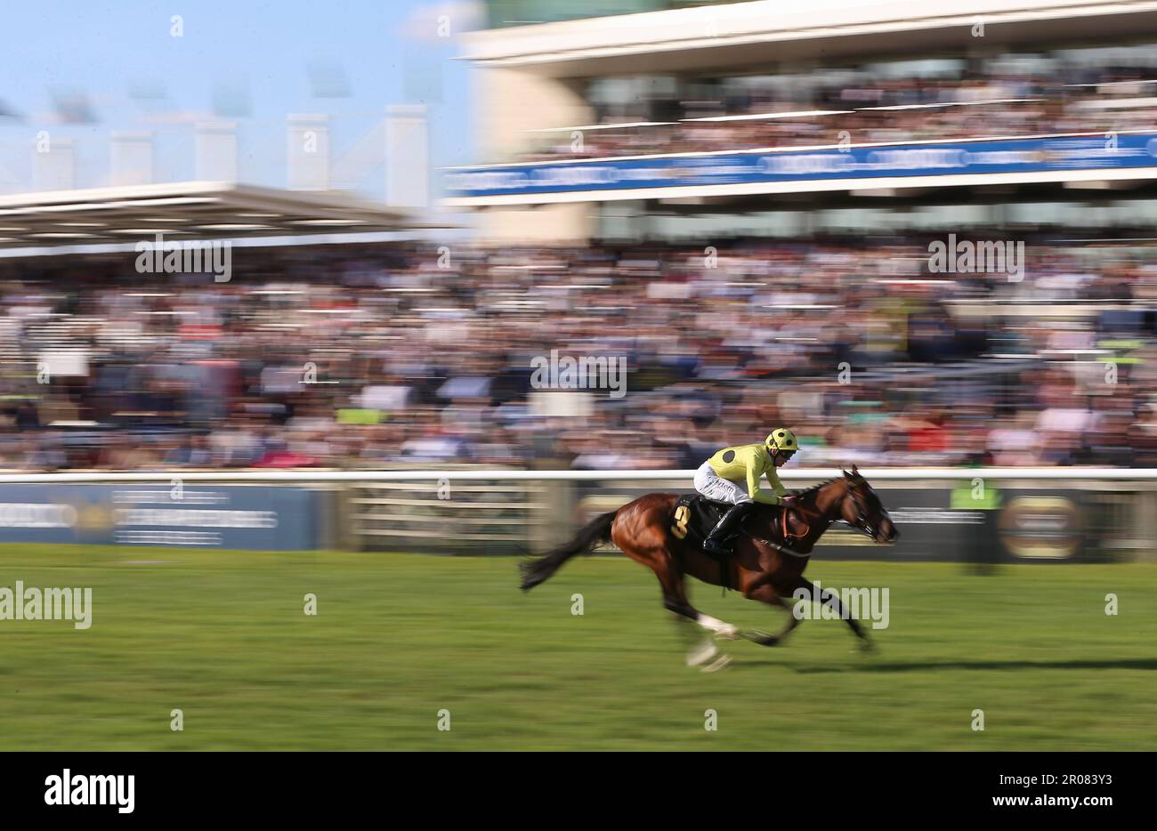 Royal rhyme horse racing hi-res stock photography and images - Alamy
