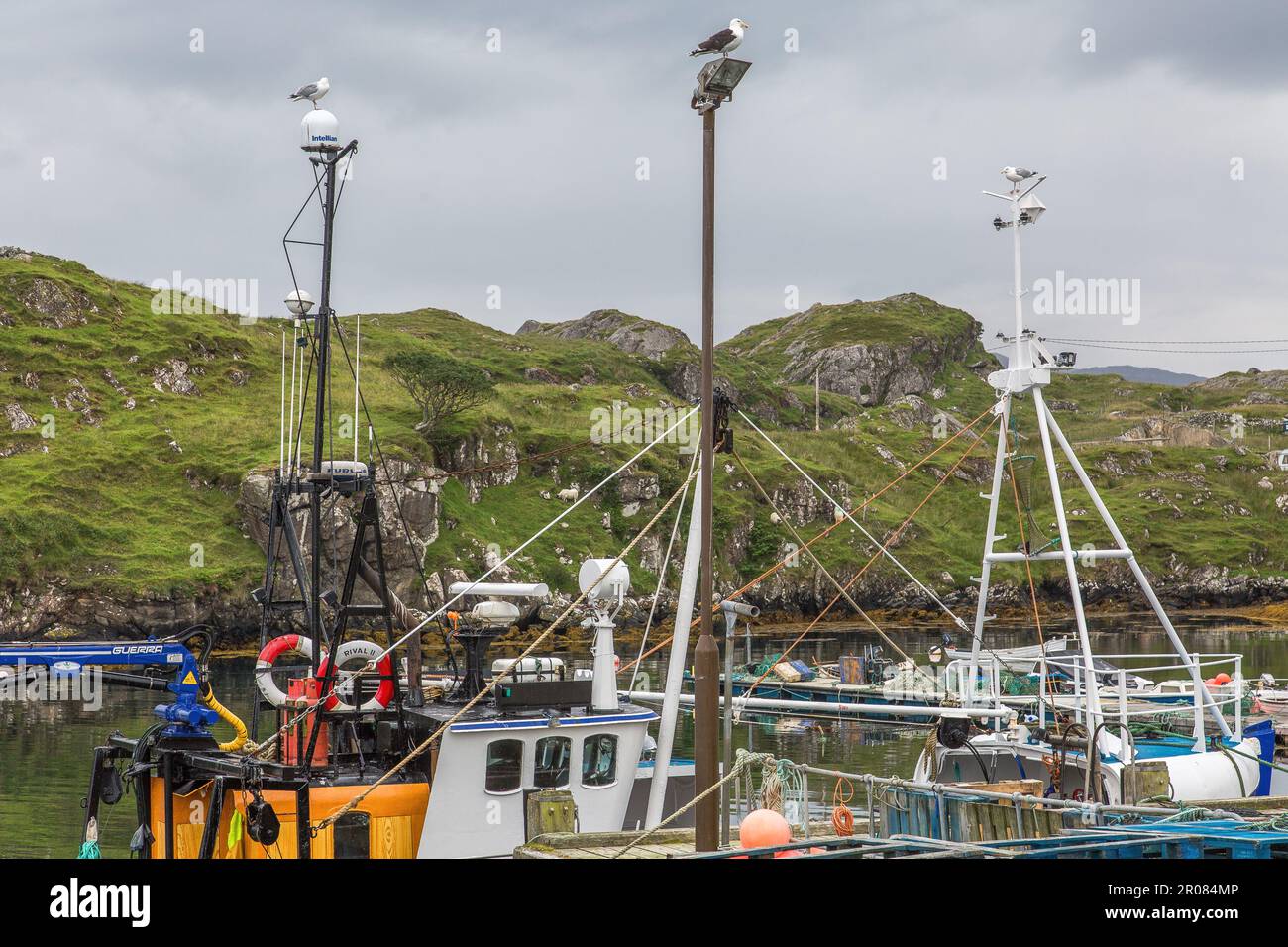 Seagulls on Mast of Fishing Trawlers, Stockiinish Pier, Kyles ...