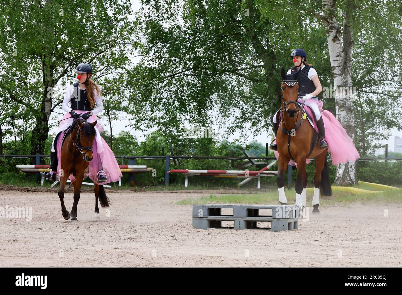 Horse event, rider Stock Photo - Alamy