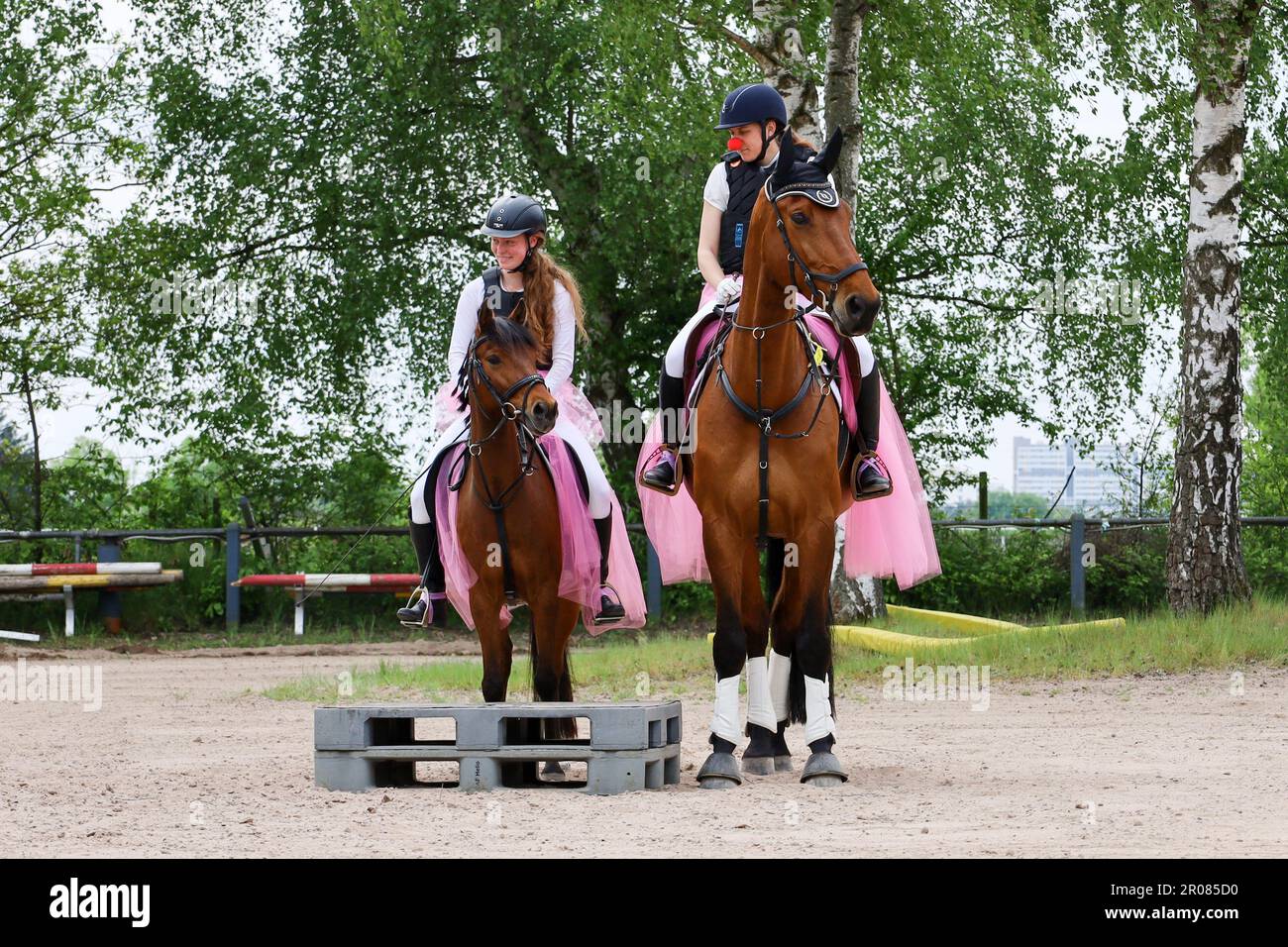Horse event, rider Stock Photo - Alamy
