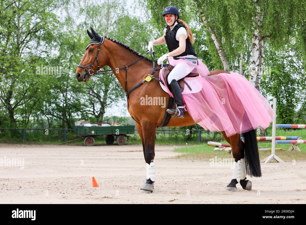 Horse event, rider Stock Photo - Alamy