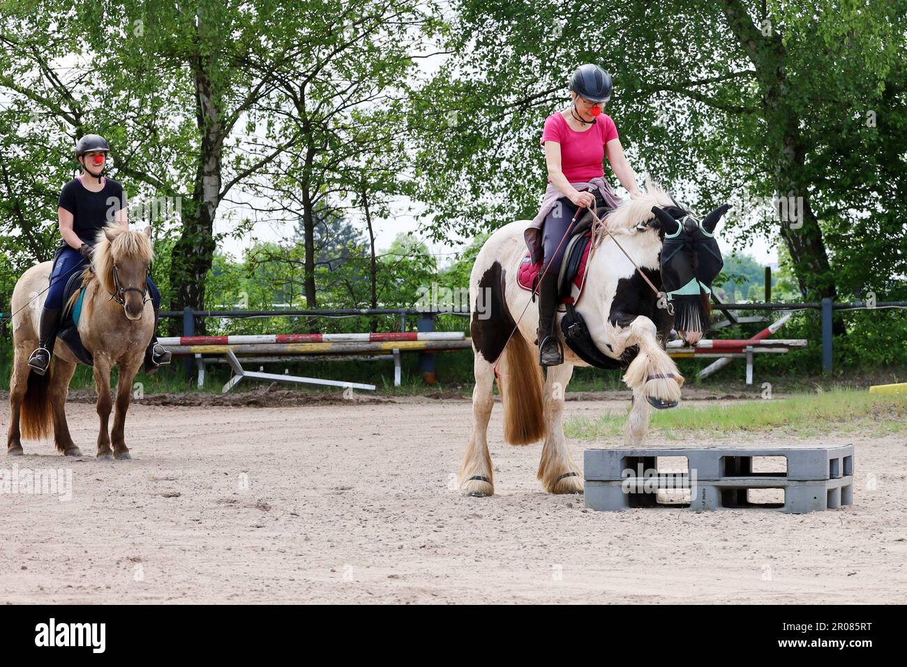 Horse event, rider Stock Photo - Alamy