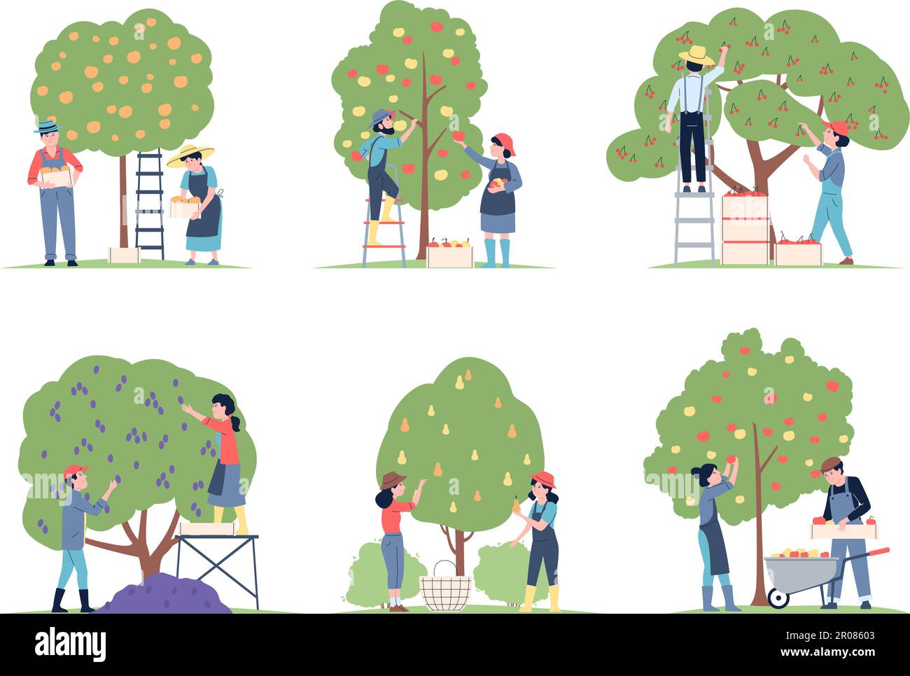 Picking from fruits tree. People collect apples, pears and cherry ...