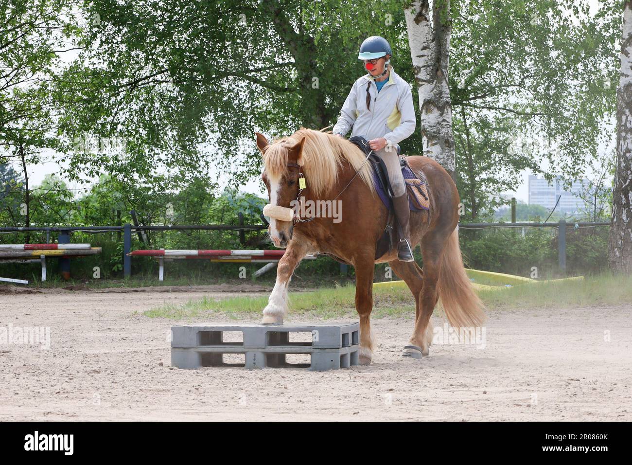 Horse event, rider Stock Photo - Alamy