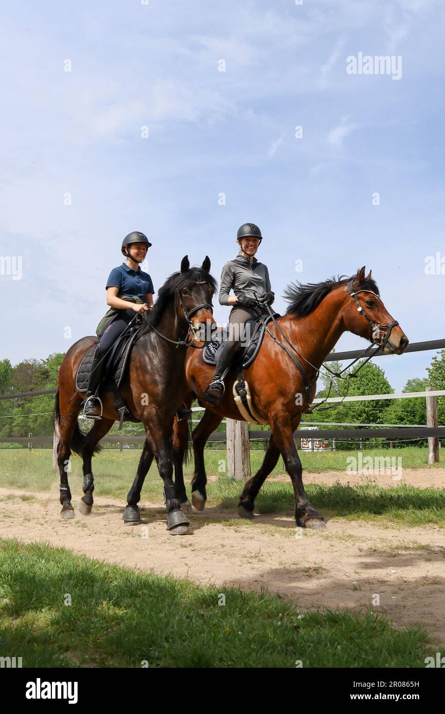 Horse event, rider Stock Photo - Alamy