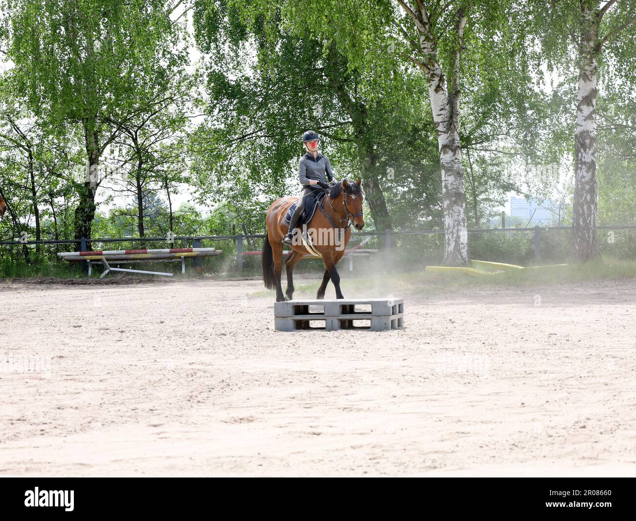 Horse event, rider Stock Photo - Alamy