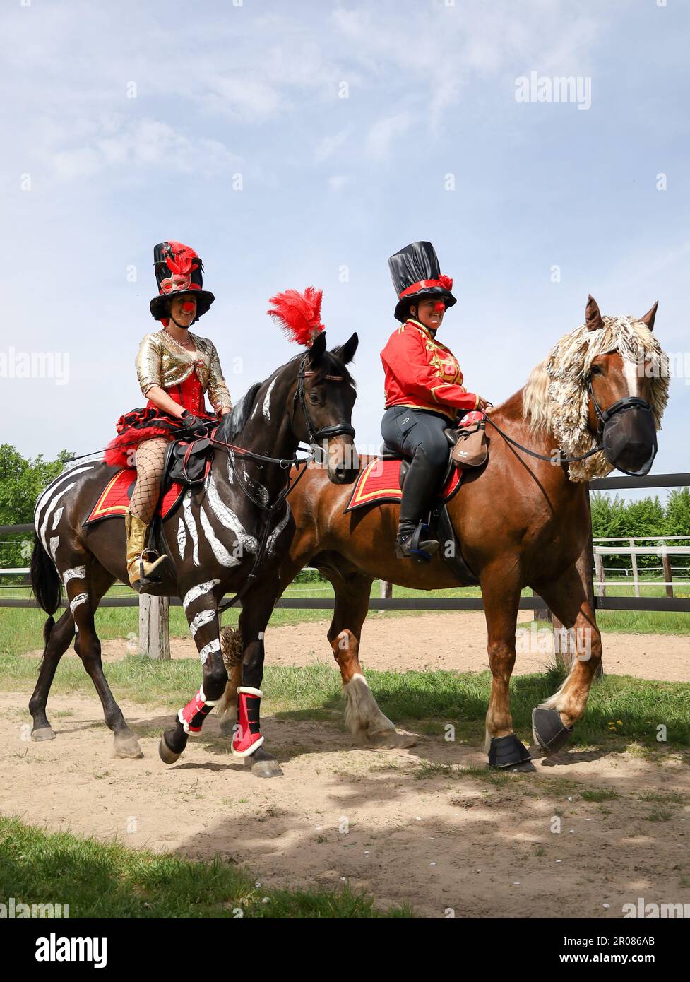 Horse event, rider Stock Photo - Alamy