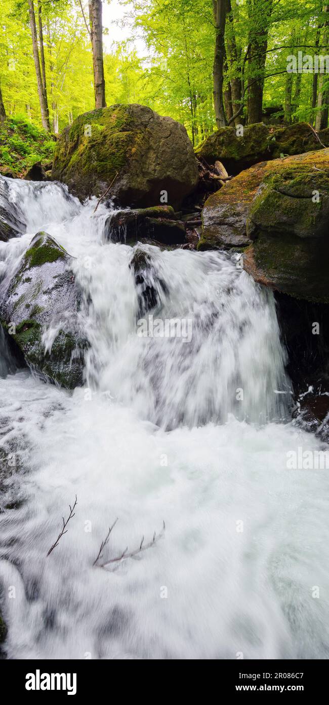 waterfall among the rocks. creek in the forest. clear water in nature ...