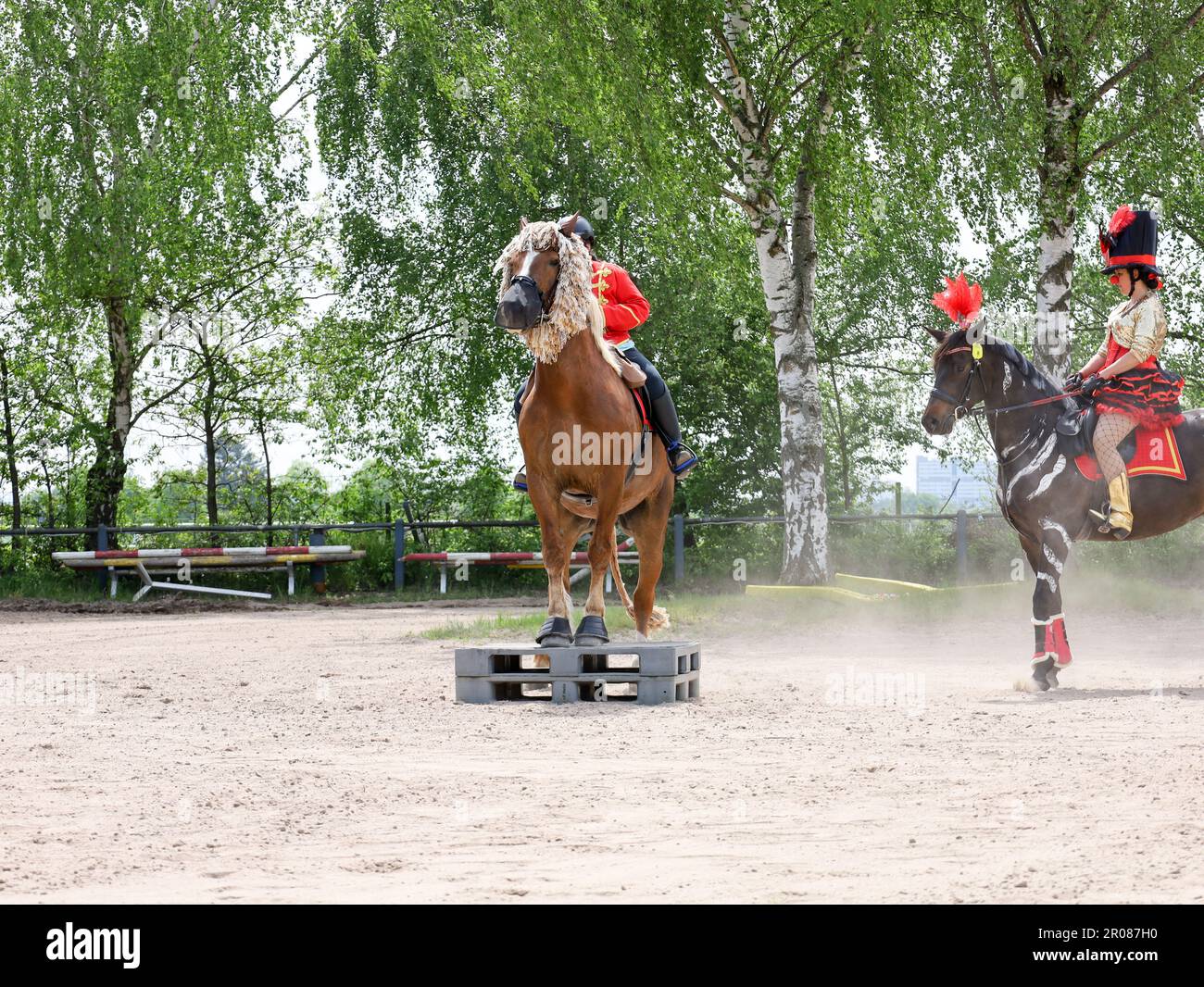 Horse event, rider Stock Photo - Alamy