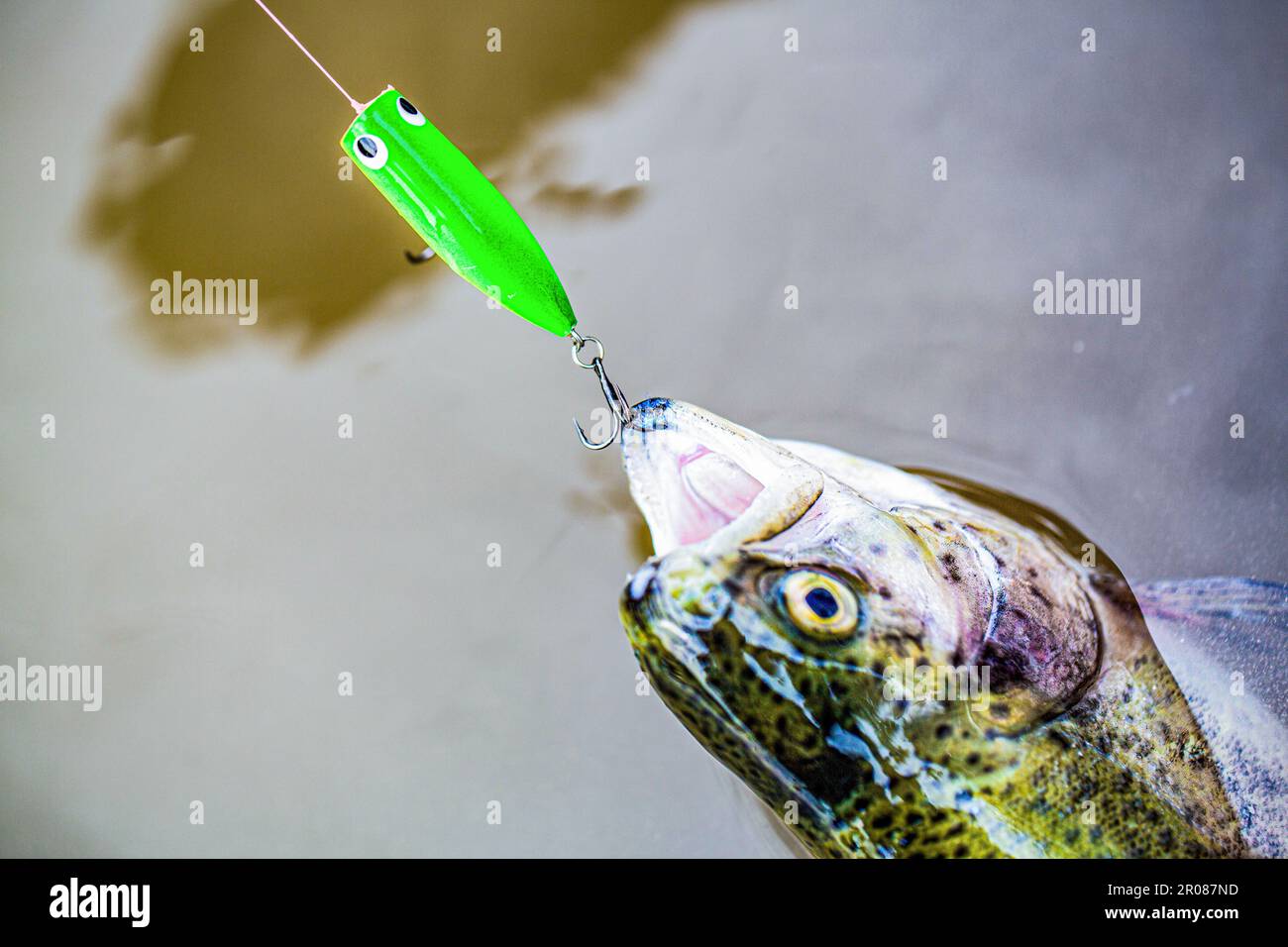 Close-up shut of a fish hook. Fisherman and trouts. Spinning fishing ...