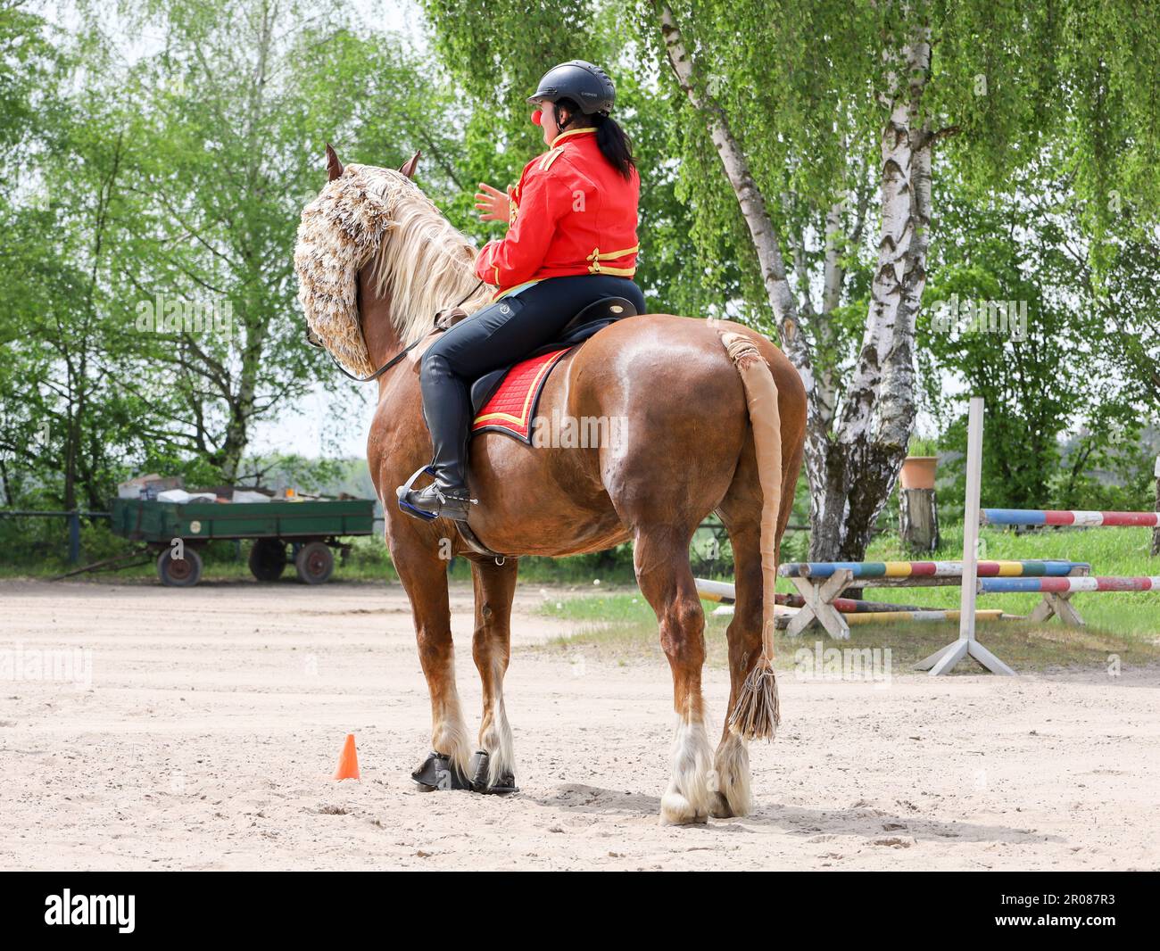 Horse event, rider Stock Photo - Alamy