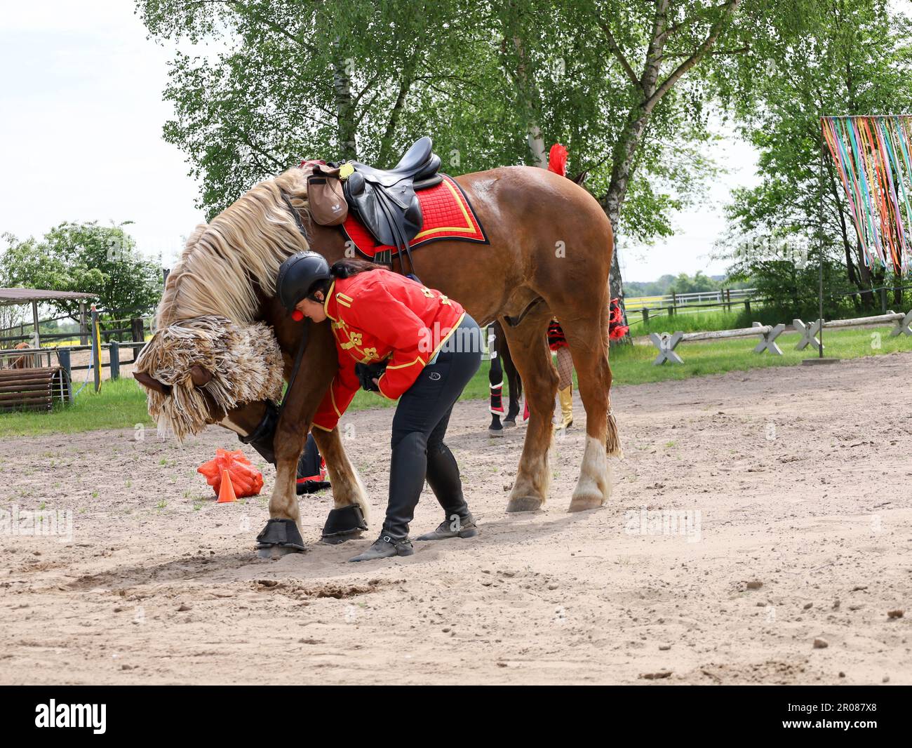 Horse event, rider Stock Photo - Alamy