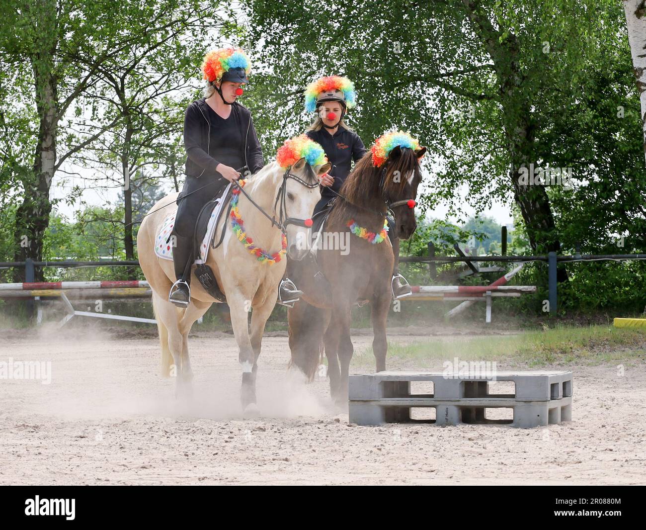 Horse event, rider Stock Photo - Alamy