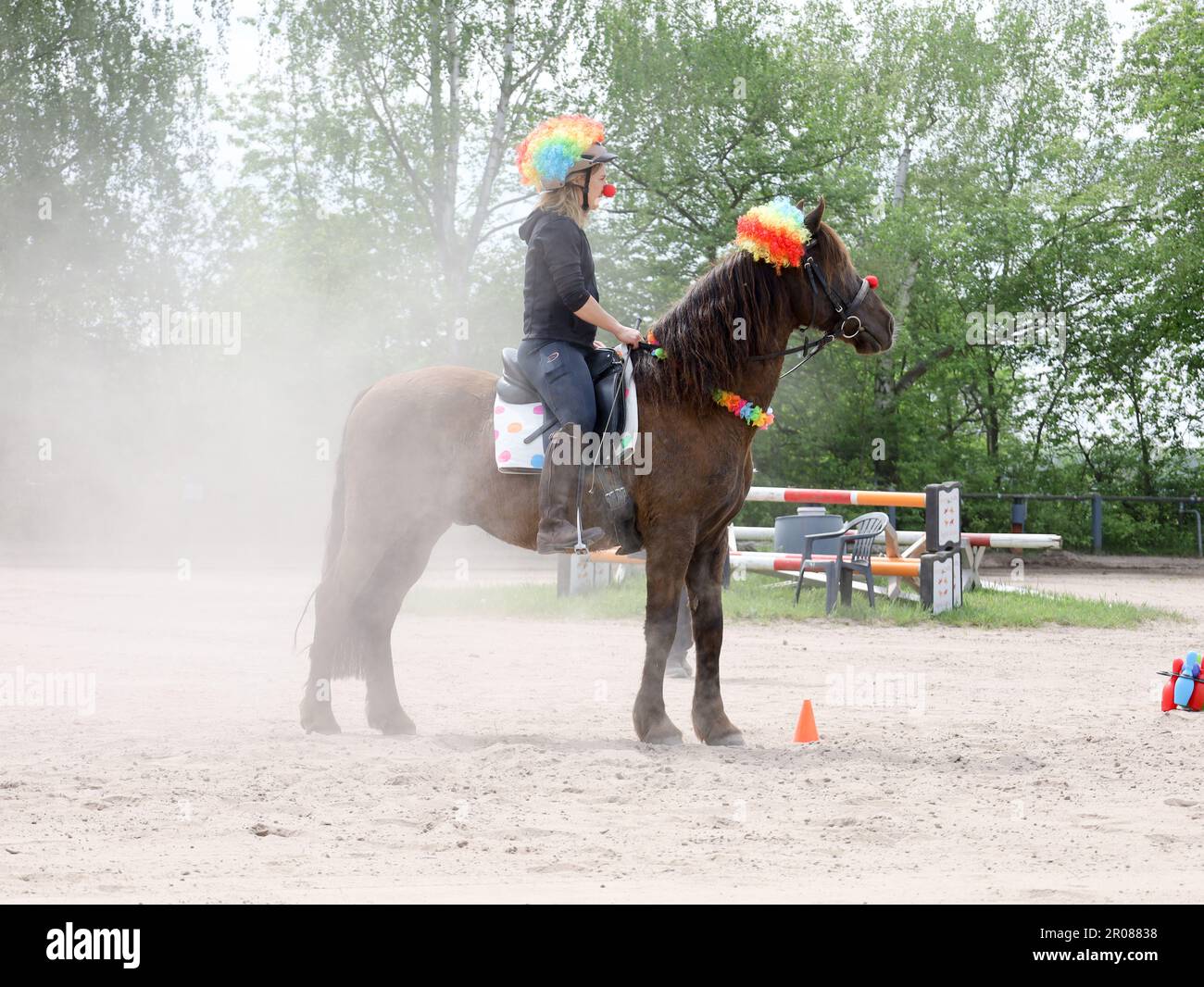 Horse event, rider Stock Photo - Alamy