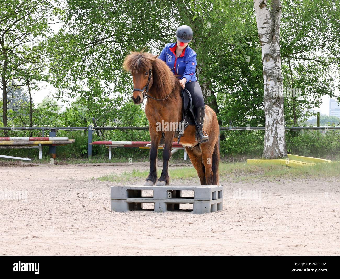 Horse event, rider Stock Photo - Alamy