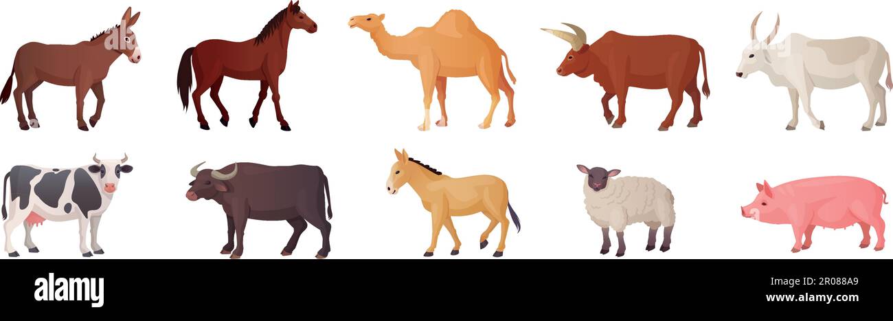 Farm animals. Breeds animal asian or african countries, indian cows ...