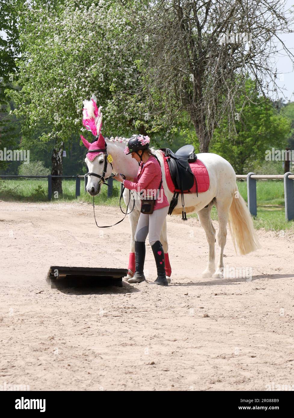 Horse event, rider Stock Photo - Alamy