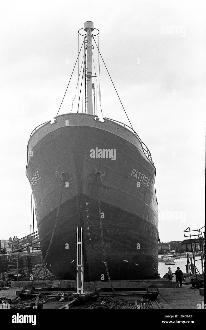 Pattree hi-res stock photography and images - Alamy