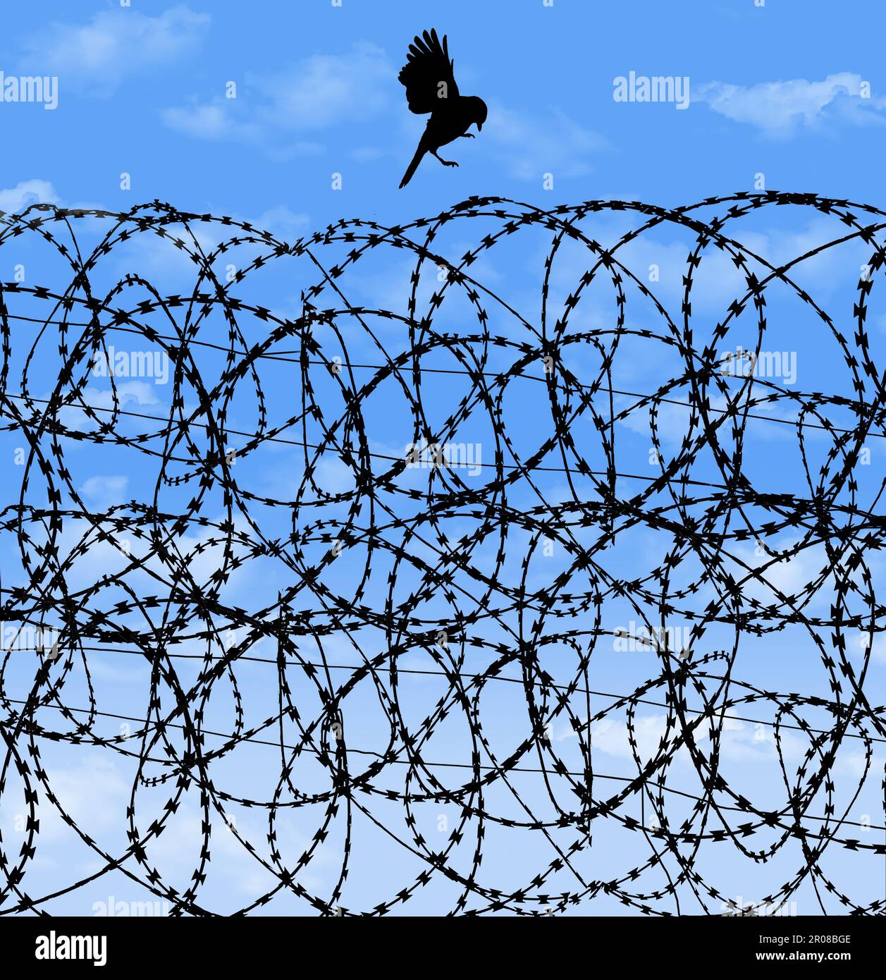 Silhouette bird barbed wire hi-res stock photography and images - Alamy
