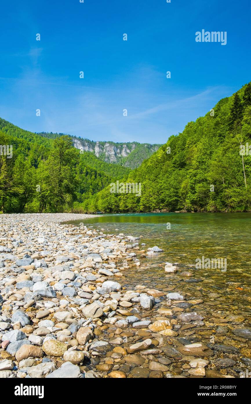 Canyon of Kupa river in spring, Gorski kotar, Croatia Stock Photo - Alamy