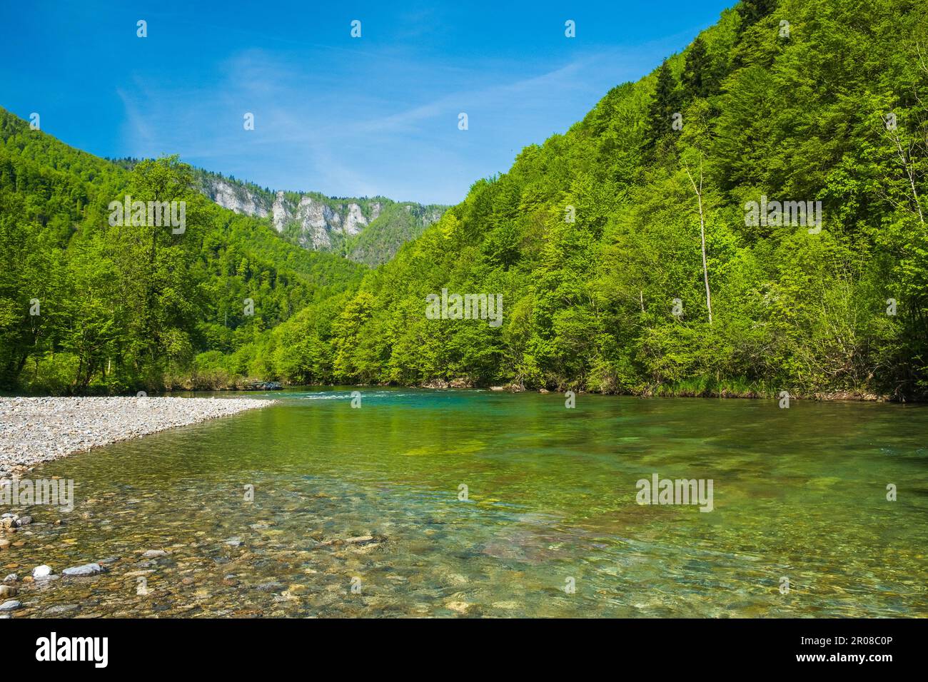 Canyon of Kupa river in spring, Gorski kotar, Croatia Stock Photo - Alamy