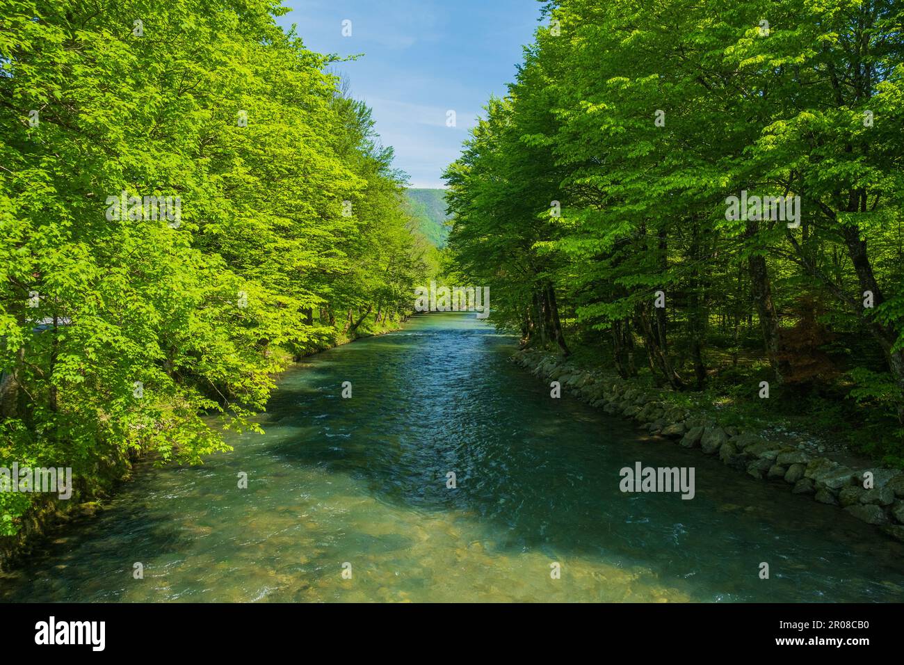 Canyon of Kupa river in spring, Gorski kotar, Croatia Stock Photo - Alamy