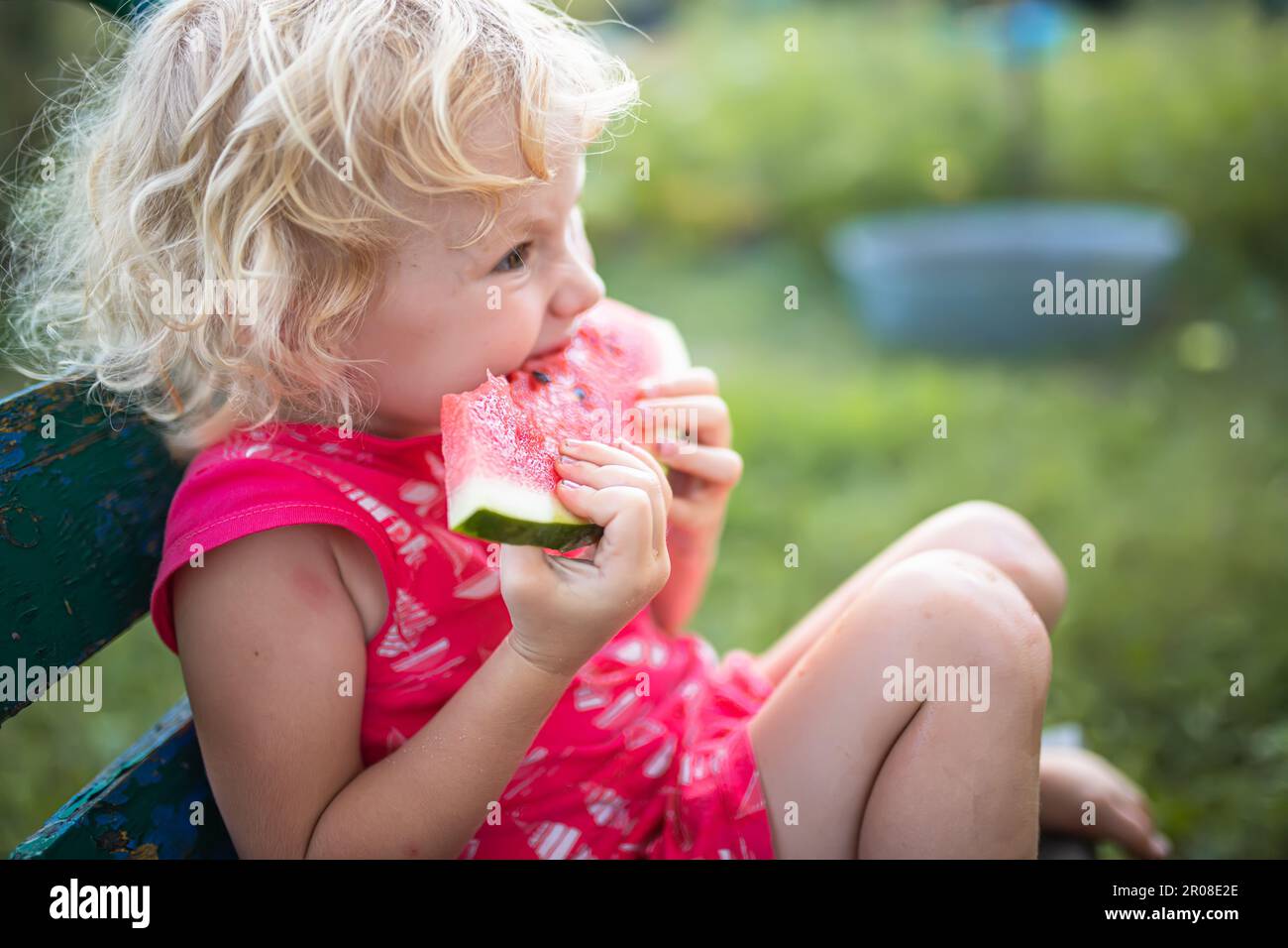 little girl eats a fresh watermelon sitting on a pile of watermelons ...