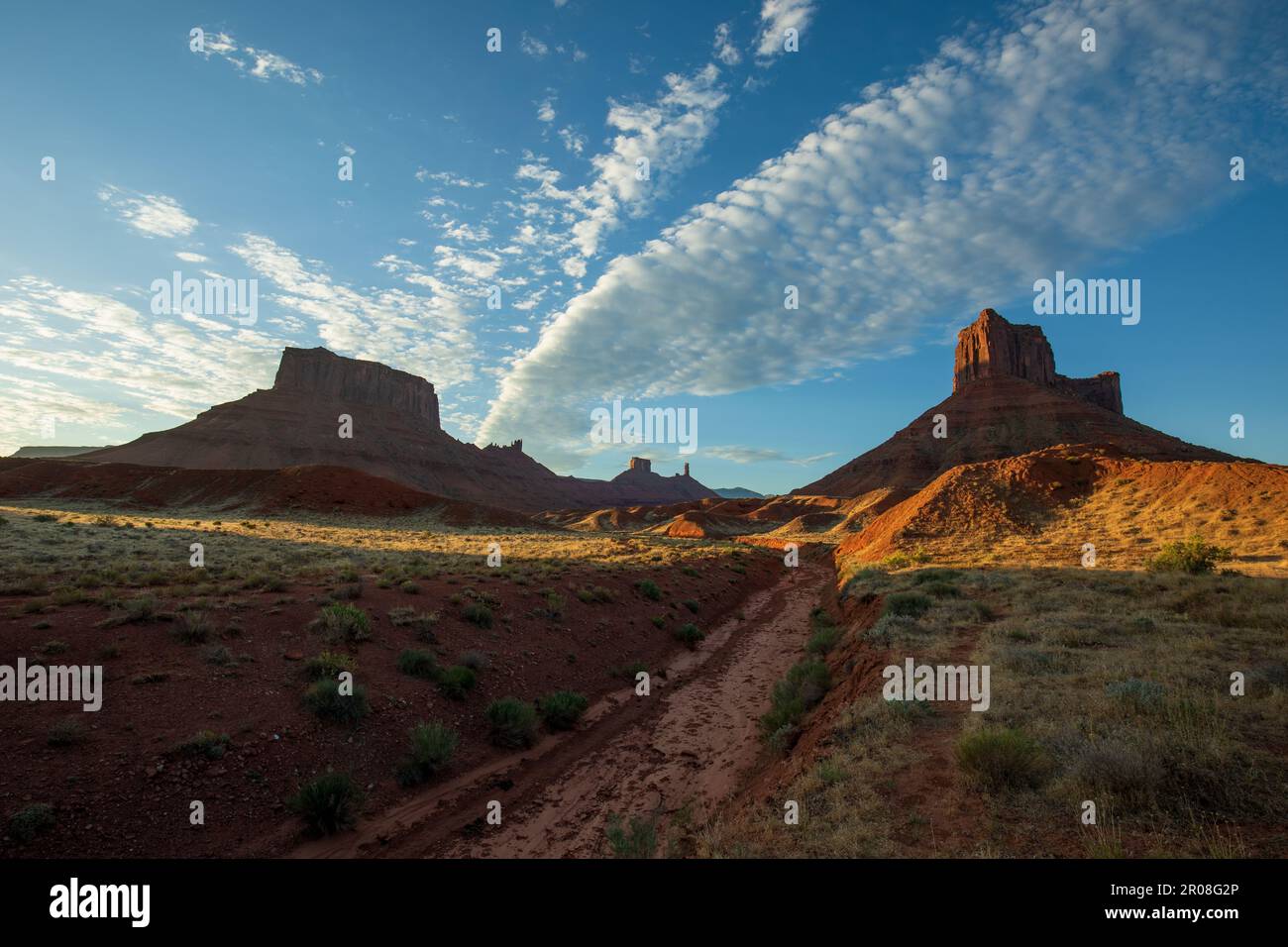 Scenic Desert Landscape in Utah in Summer Stock Photo - Alamy